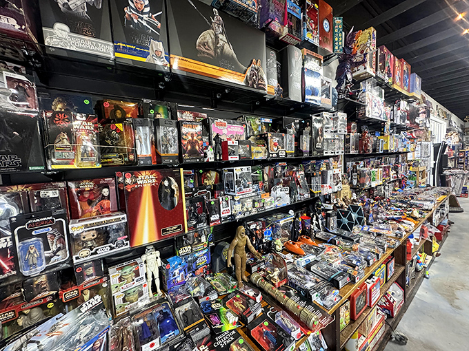 Action figure nirvana stretches as far as the eye can see. This wall of carefully packaged heroes represents the evolution of collectible culture across decades.