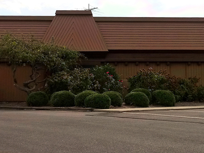 Even from behind, The Paragon maintains its dignity. Those manicured shrubs are the restaurant equivalent of a perfectly folded pocket square.