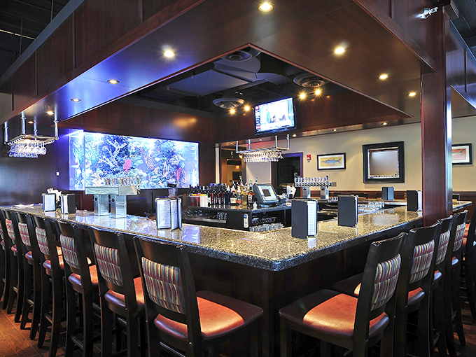 A bar designed for both serious drinking and serious eating. That aquarium isn't just decoration – it's previewing what might end up on your plate.