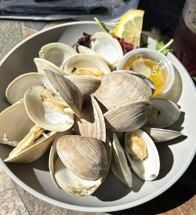 These clams have opened up to you like old friends sharing secrets – just add a squeeze of lemon and listen closely.