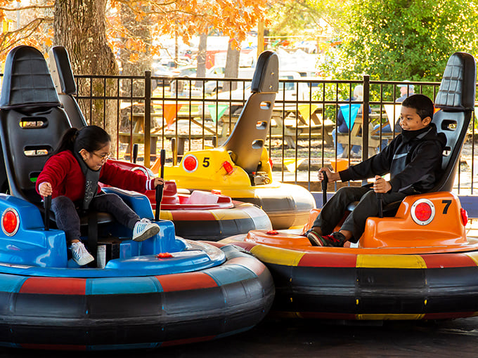 Bumper cars bring childhood joy to market-goers of all ages, proving Smiley's offers entertainment value beyond just the thrill of the bargain hunt.