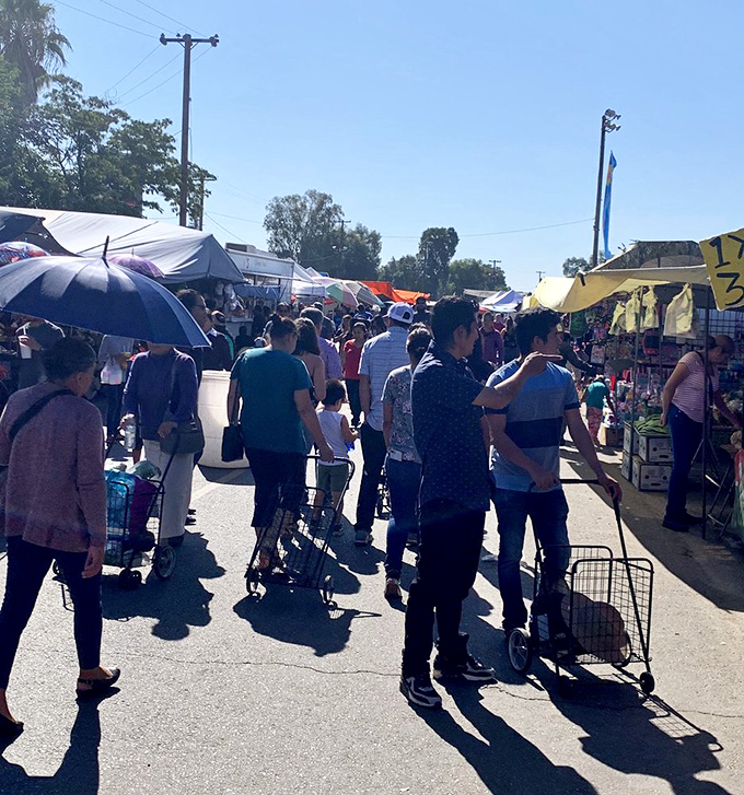 The universal language of bargain hunting brings together a community of treasure seekers&mdash;shopping carts and umbrellas in hand, united in the thrill of discovery.