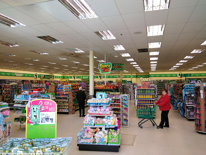 Dollar Tree shoppers navigate the well-stocked aisles with the focused determination of treasure hunters on a budget-friendly expedition.