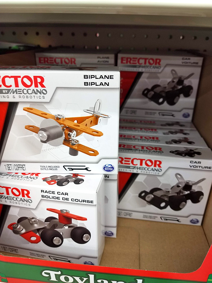 Erector sets proving that childhood engineering dreams and STEM education can begin with just a dollar and some imagination.