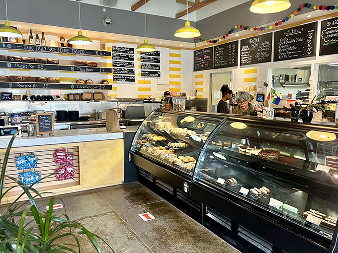 The pastry case at Leviathan—where dreams are displayed under glass and decisions become impossible. Take one of each?