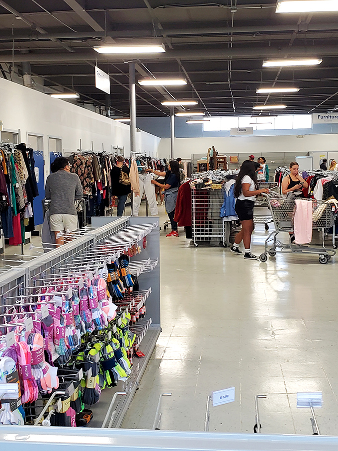 The thrill of the hunt in action&mdash;shoppers navigate the aisles with the focus of archaeologists discovering ancient civilizations.