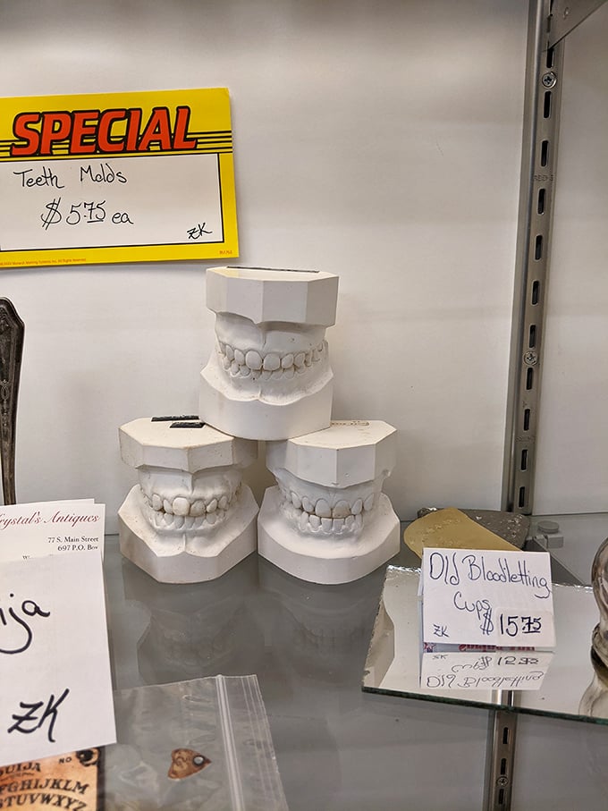 Dental molds with character and just enough creepiness to make perfect Halloween decorations. Who knew teeth could be both medical oddity and conversation starter?