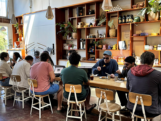 The communal counter where strangers become friends over exceptional food and perfectly crafted morning conversations. 