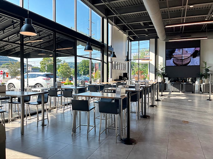 The dining area bathed in natural light&mdash;civilization's greatest achievement where people gather to commune with coffee and carbs in peaceful harmony.