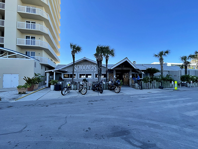 Morning reveals Schooners in all its unassuming glory – motorcycles parked outside a place that doesn't need to try hard to be authentically cool.