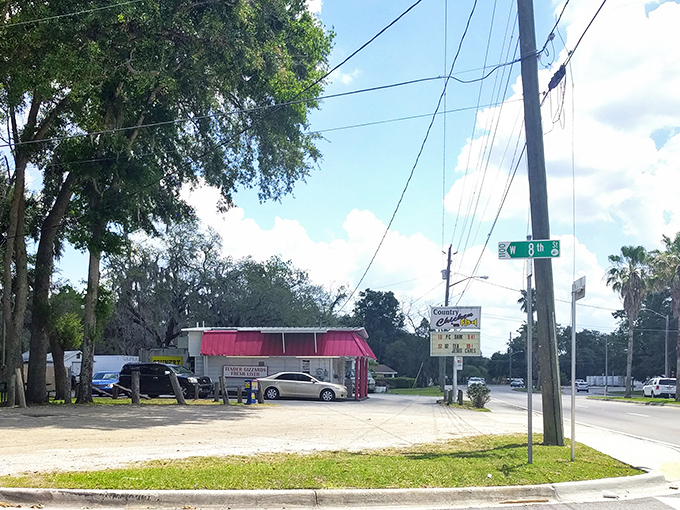From a distance, it might not look like much, but neither did that unassuming restaurant in "Ratatouille." The best food often hides in plain sight.