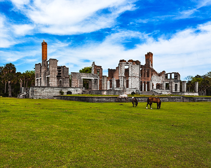The ultimate island tableau—wild horses grazing before magnificent ruins, a scene that belongs equally in a Southern Gothic novel and National Geographic.