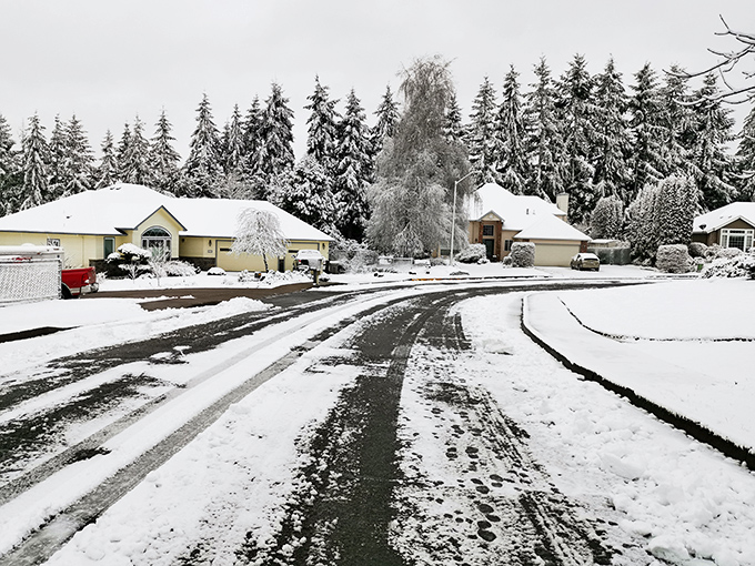 Winter transforms Dallas into a postcard-perfect scene, with snow-dusted streets and evergreens standing sentinel against gray skies.
