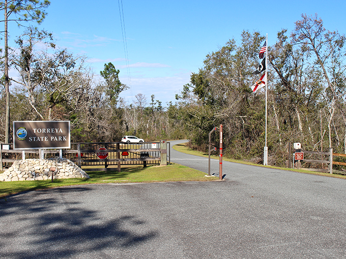 The gateway to Florida's geological rebellion. Where the state decided flat was boring and went for something with a little more character.