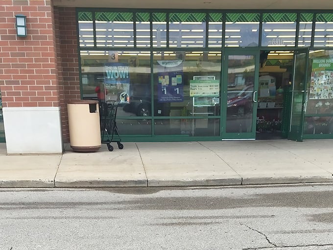 The entrance beckons with promises of affordable treasures – the retail equivalent of "Come on in, the bargains are fine!"