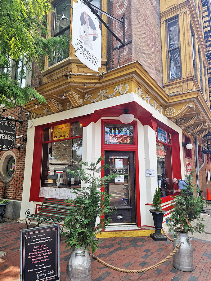 The entrance, framed by evergreens in milk jugs, promises an experience worth the wait. That red bench has supported countless sugar-high conversations.