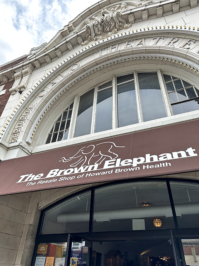"Calo Theatre" still etched in stone above The Brown Elephant. This architectural gem's second act as a thrift store proves that the best buildings, like the best items, deserve an encore. 