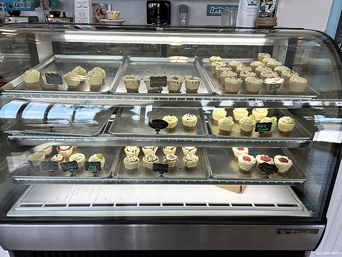 The display case of dreams&mdash;where tiny cheesecakes wait patiently for their forever homes. Adoption rates are understandably high.