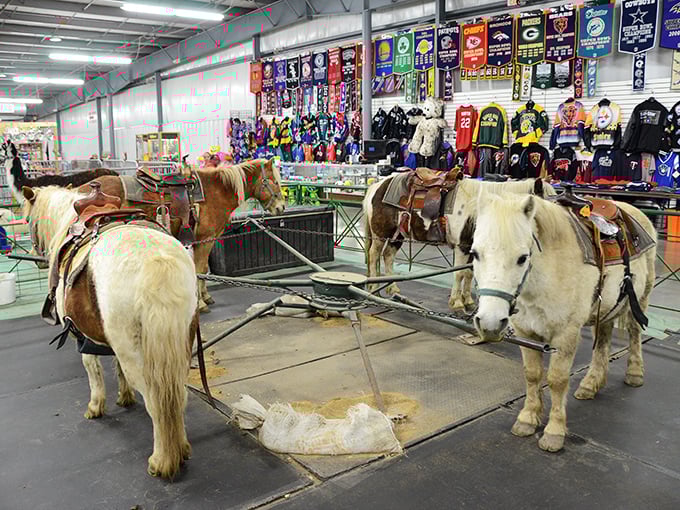 Pony rides bring unexpected delight amid sports memorabilia—because nothing says "eclectic shopping experience" quite like horses beneath fluorescent lights.