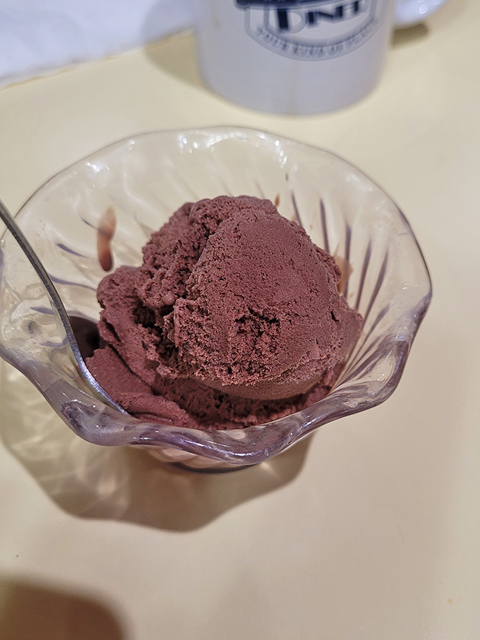 Rich chocolate ice cream served in a proper glass dish because some traditions should never be abandoned.