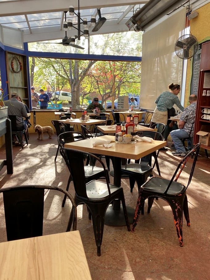 Sunlight streams through windows like it's auditioning for a role in your breakfast experience &ndash; and getting a standing ovation.