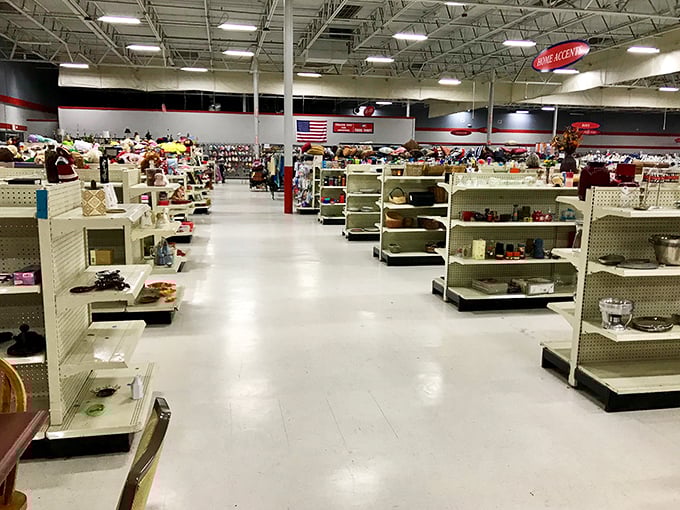 Wide aisles and organized shelving make treasure hunting less chaotic, though the thrill of discovery remains just as sweet.