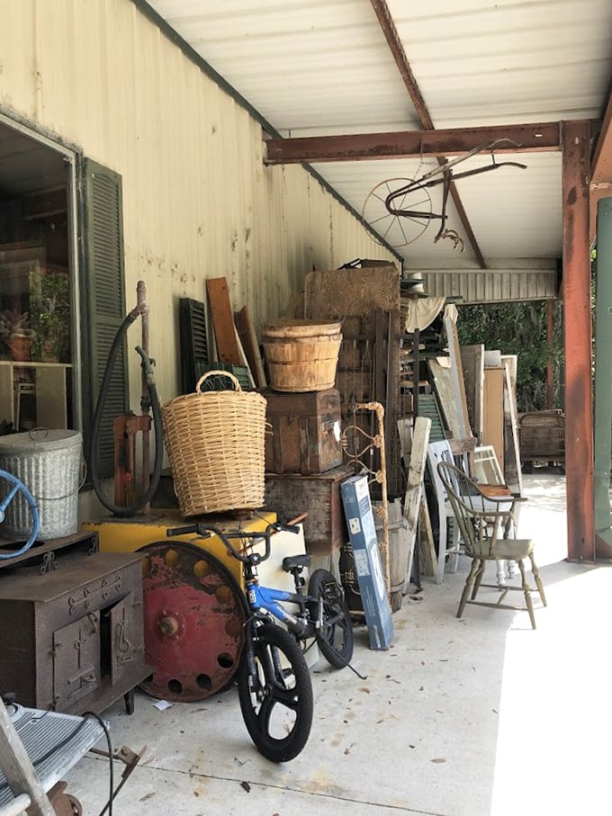The outdoor overflow area: where rustic treasures weather gracefully, waiting for someone to recognize their second-act potential.