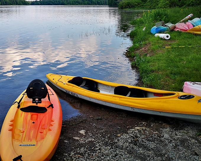 Kayak heaven awaits the paddle-curious. These colorful vessels are your tickets to exploring hidden coves and peaceful shorelines.