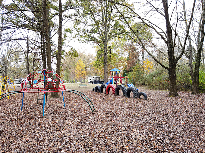Childhood joy, naturally packaged. This playground nestled among autumn leaves proves that the best app for kids has always been the great outdoors.