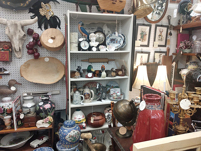 A collector's fever dream where porcelain peacocks mingle with vintage globes. Marie Kondo would have a panic attack here.