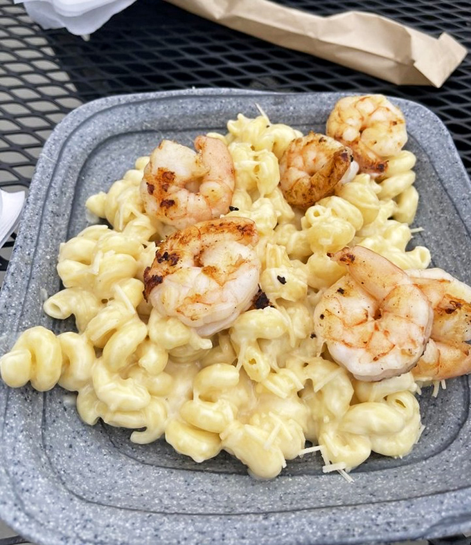 Mac and cheese elevated to an art form. Those perfectly seared shrimp nestled in creamy pasta prove that comfort food can still surprise us.