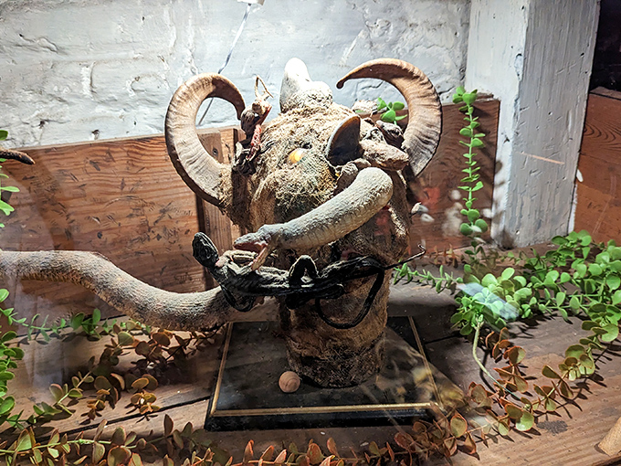 This horned skull creation looks like something from a fantasy movie prop department or what happens when taxidermists get really, really bored.