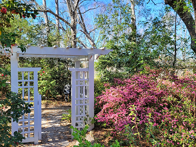 The white garden gate stands like a portal between worlds, promising azalea-lined adventures just beyond its welcoming frame.