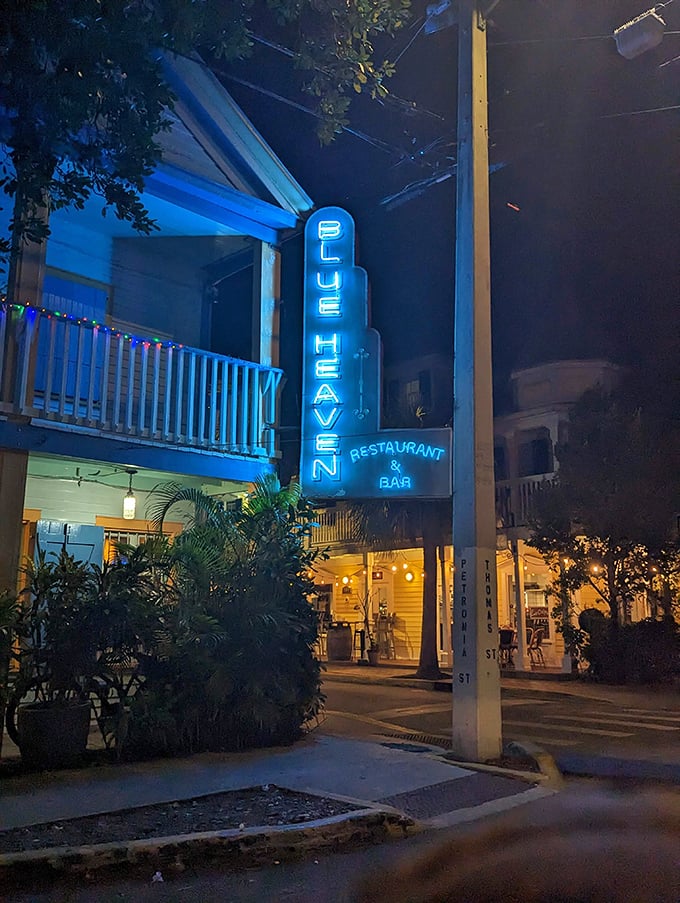 That neon blue glow in the night says you've arrived somewhere special&mdash;like a lighthouse guiding hungry souls to flavor salvation.