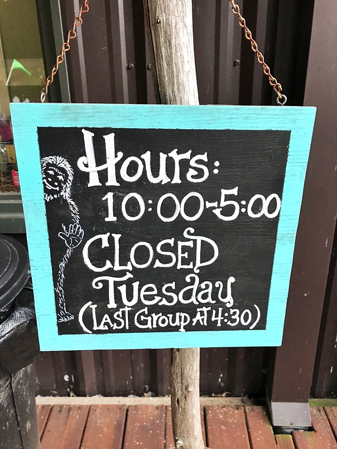 Even Bigfoot needs a day off! This charming hours sign, complete with a peeking sasquatch, adds a touch of whimsy to the museum experience.
