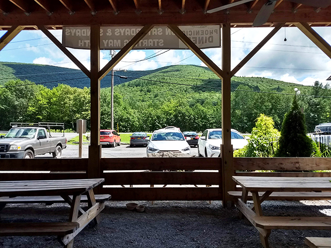 The view that makes the meal taste even better. Nature's dining room, where the Catskills remind you why you escaped the city in the first place.