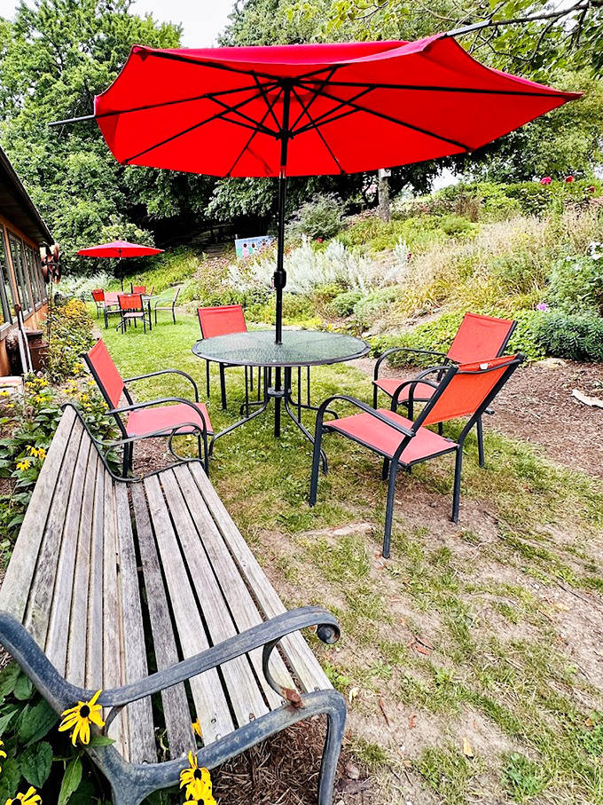 Nature's dining room awaits! Red umbrellas pop against the green landscape, creating an outdoor oasis perfect for savoring SpringHouse treasures.