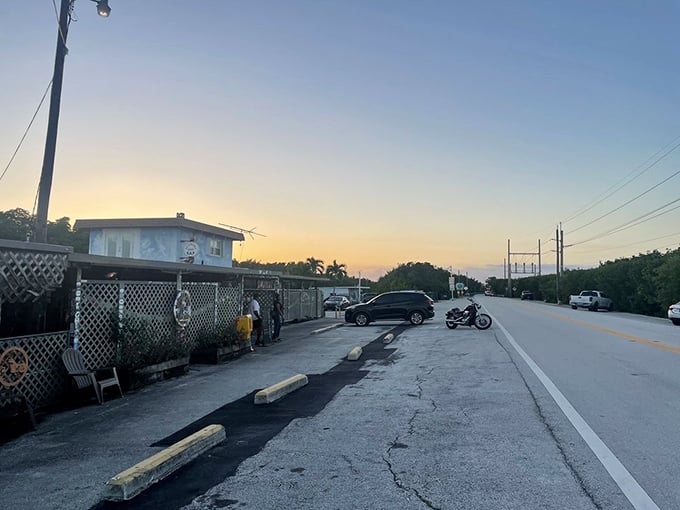 As the sun sets on Card Sound Road, Alabama Jack's transforms from roadside curiosity to glowing beacon for hungry travelers and boaters alike.