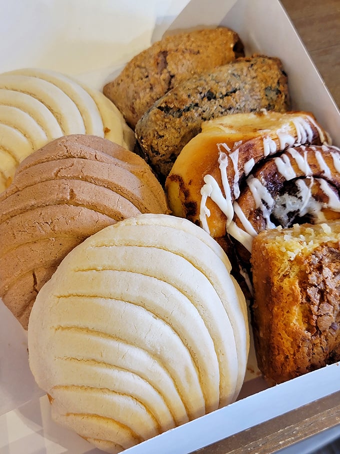 A pastry box filled with the kind of treats that make you instantly popular at any gathering. "I brought these from that little bakery in Pittsboro."