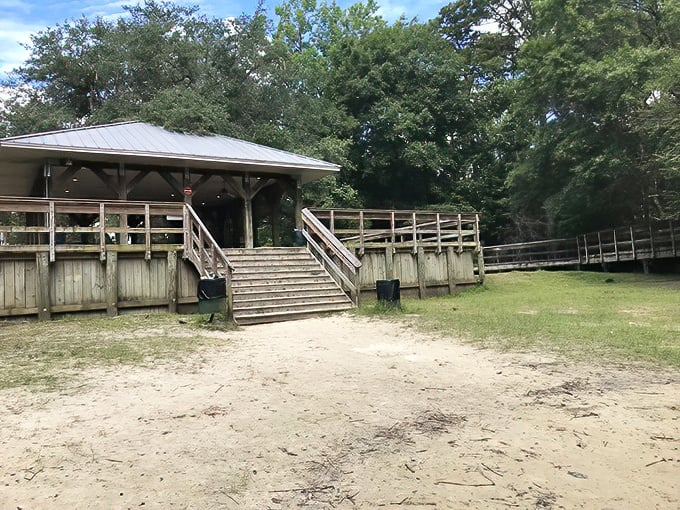 Base camp for aquatic adventures. This pavilion has witnessed countless "you won't believe how clear it was" stories over cold drinks and sandwiches.