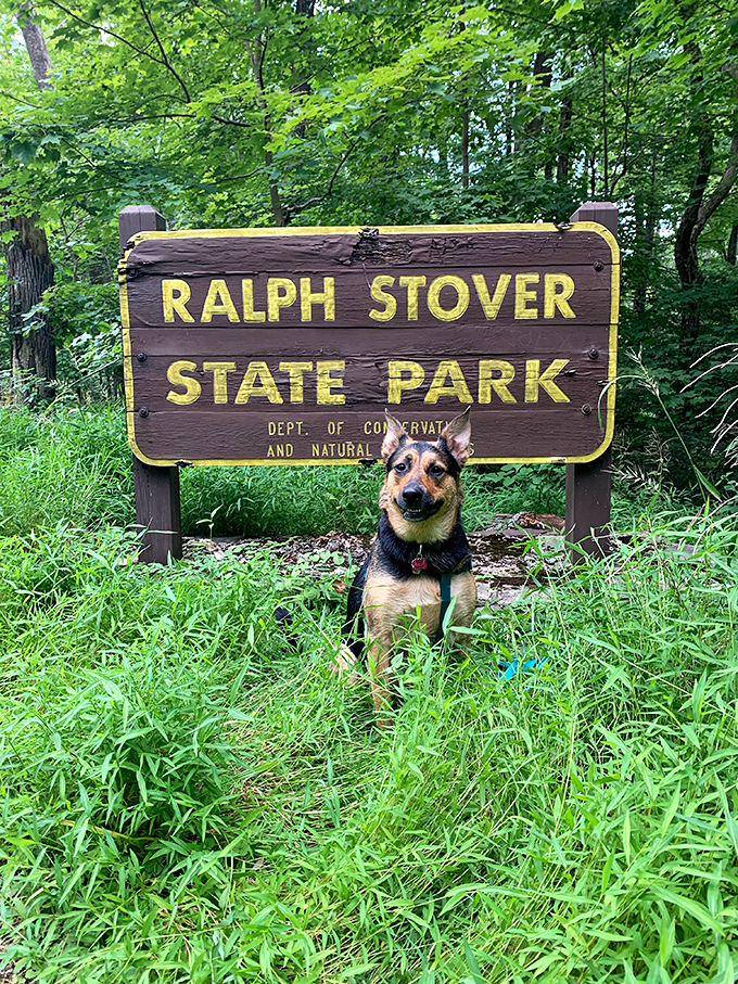 The park's welcoming committee has four legs and a wagging tail, posing proudly by the sign as if to say, "What took you so long?"