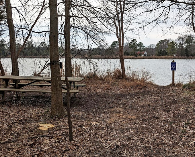 This unassuming picnic spot has hosted more memorable moments than many five-star restaurants&mdash;and with a far superior view.