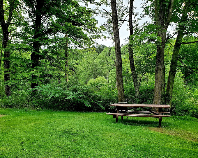 The ultimate lunch with a view. This simple picnic area transforms ordinary sandwiches into memory-making meals surrounded by Pennsylvania's verdant splendor.