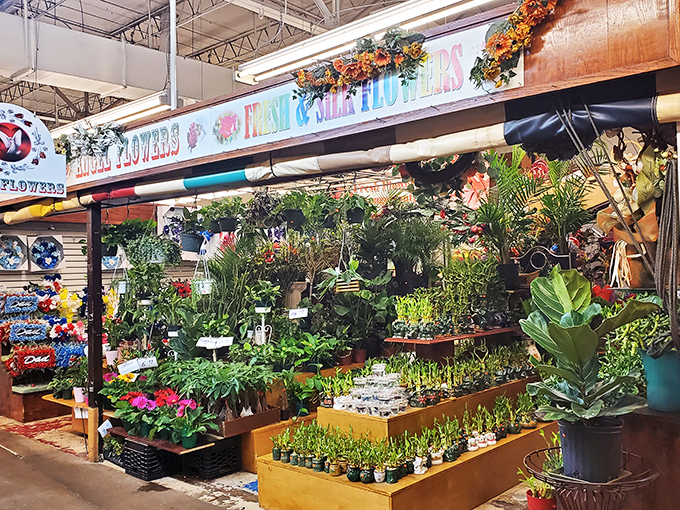 A garden center oasis amid the market hustle. These plants aren't just decorations&mdash;they're future bragging rights when visitors ask, "Where did you get that?"