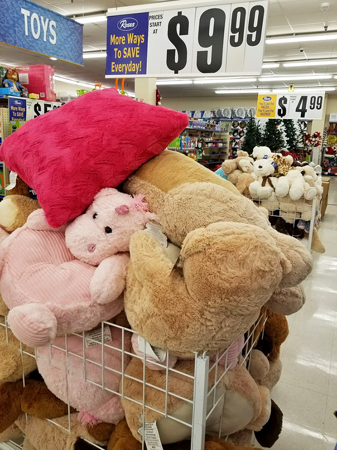 The stuffed animal kingdom, where plush creatures large and small await adoption. That giant teddy bear has seen things in this store you wouldn't believe.