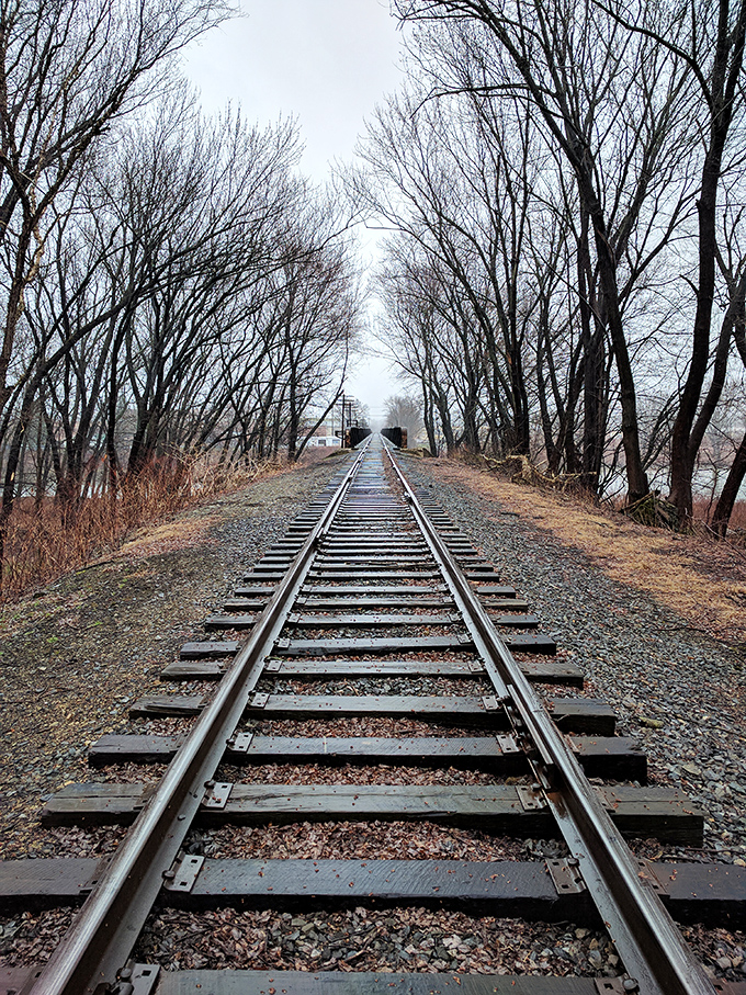 These tracks lead somewhere and nowhere at once&mdash;a perfect metaphor for the best kind of afternoon wandering.