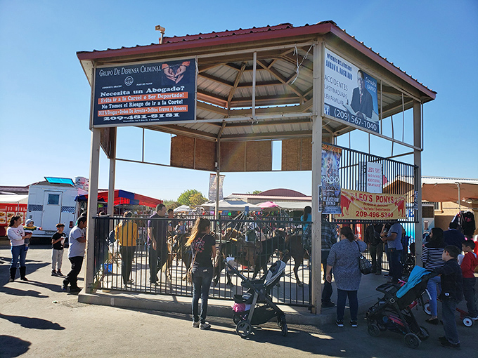 The market's social heart beats strong. This entrance pavilion welcomes families to a weekend tradition that's equal parts shopping trip and community celebration.