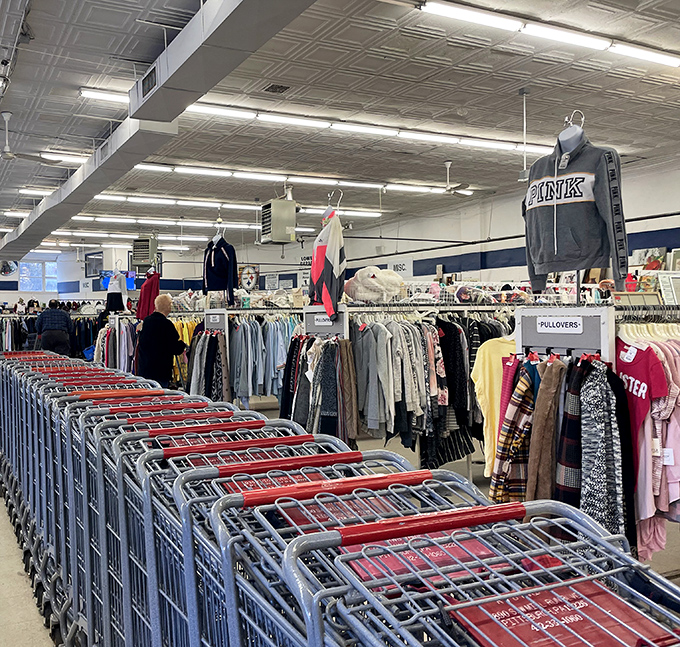 Shopping carts lined up like eager racehorses at the starting gate, each ready for a bargain-hunting sprint.