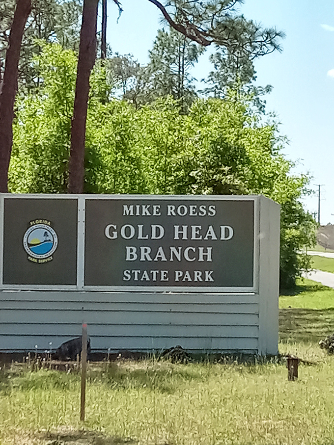 The sign that marks the entrance to one of Florida's best-kept secrets. Like finding the door to Narnia, but with more alligators.