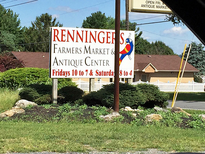 The gateway to weekend treasure hunting &ndash; Renninger's iconic sign welcomes visitors to a Pennsylvania institution where discoveries await rain or shine.